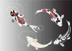What Does Fish Symbolize In Chinese Culture(Do You Like Fish)