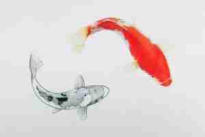 10+ List Of Chinese Symbols And Meanings（You must know）