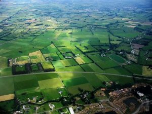 Where is the north china plain?