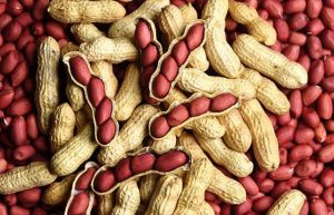 What Is Pomegranate In Chinese Culture?