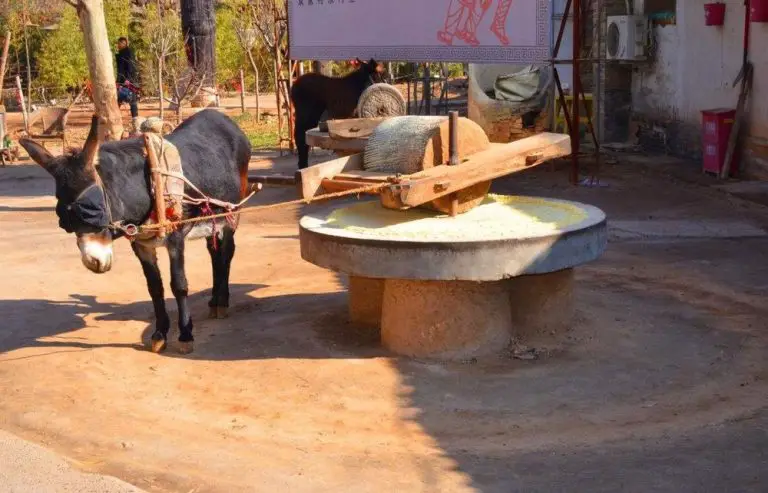 What Is Chinese Stone Mill? （4 Types）